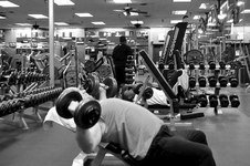 8-Week Old-School Mass Building Workout Routine – The Muscle Program